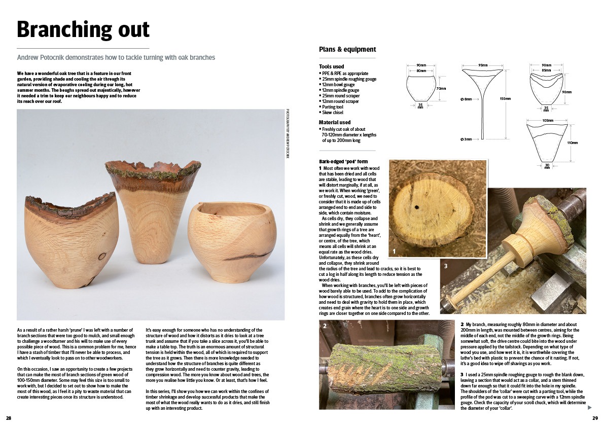 Woodturning - Lightning Publications